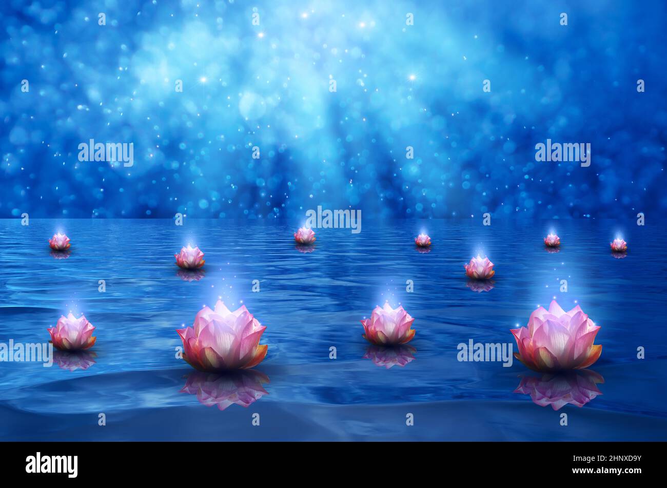 lotus Pink light purple floating light sparkle purple background Stock ...