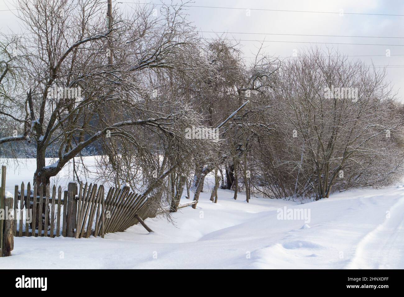 Frozen morning winter landscape with fence, village of Belarus Stock ...