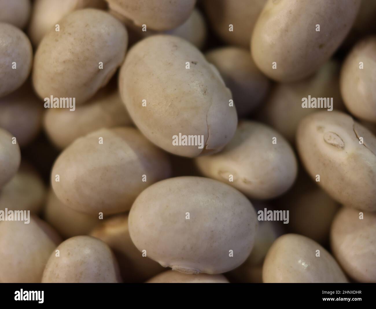 delicious beans beans healthy natural legumes needed background Stock ...