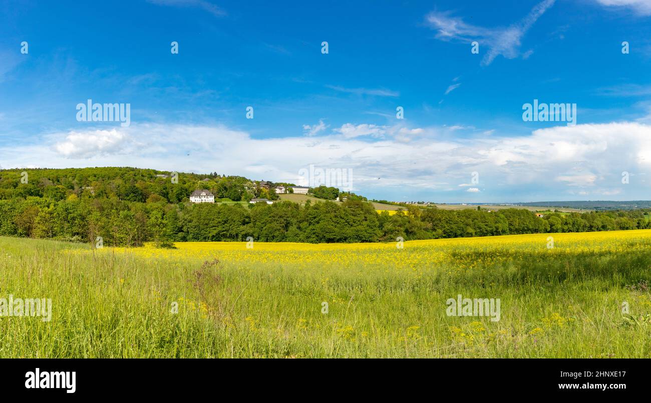 rural ladscape with field in spring as nature symbol in Eltville Stock ...