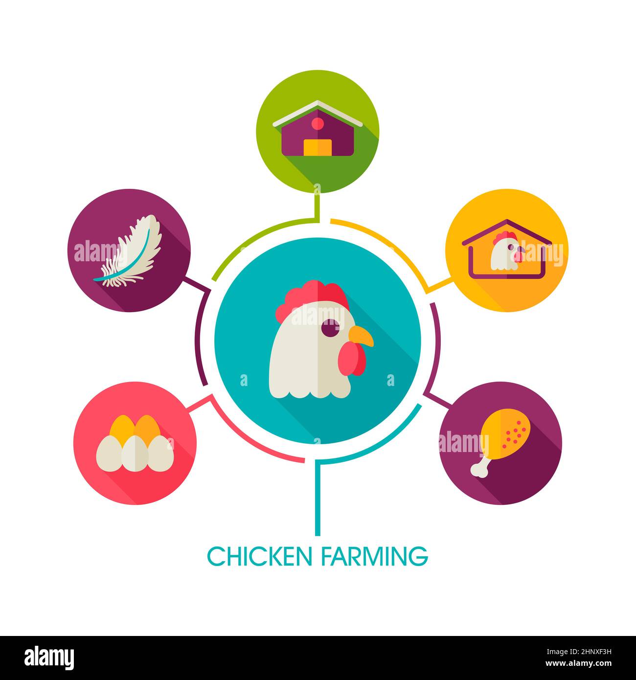 Chicken farming icon and agriculture infographics. Farm sign. Graph ...