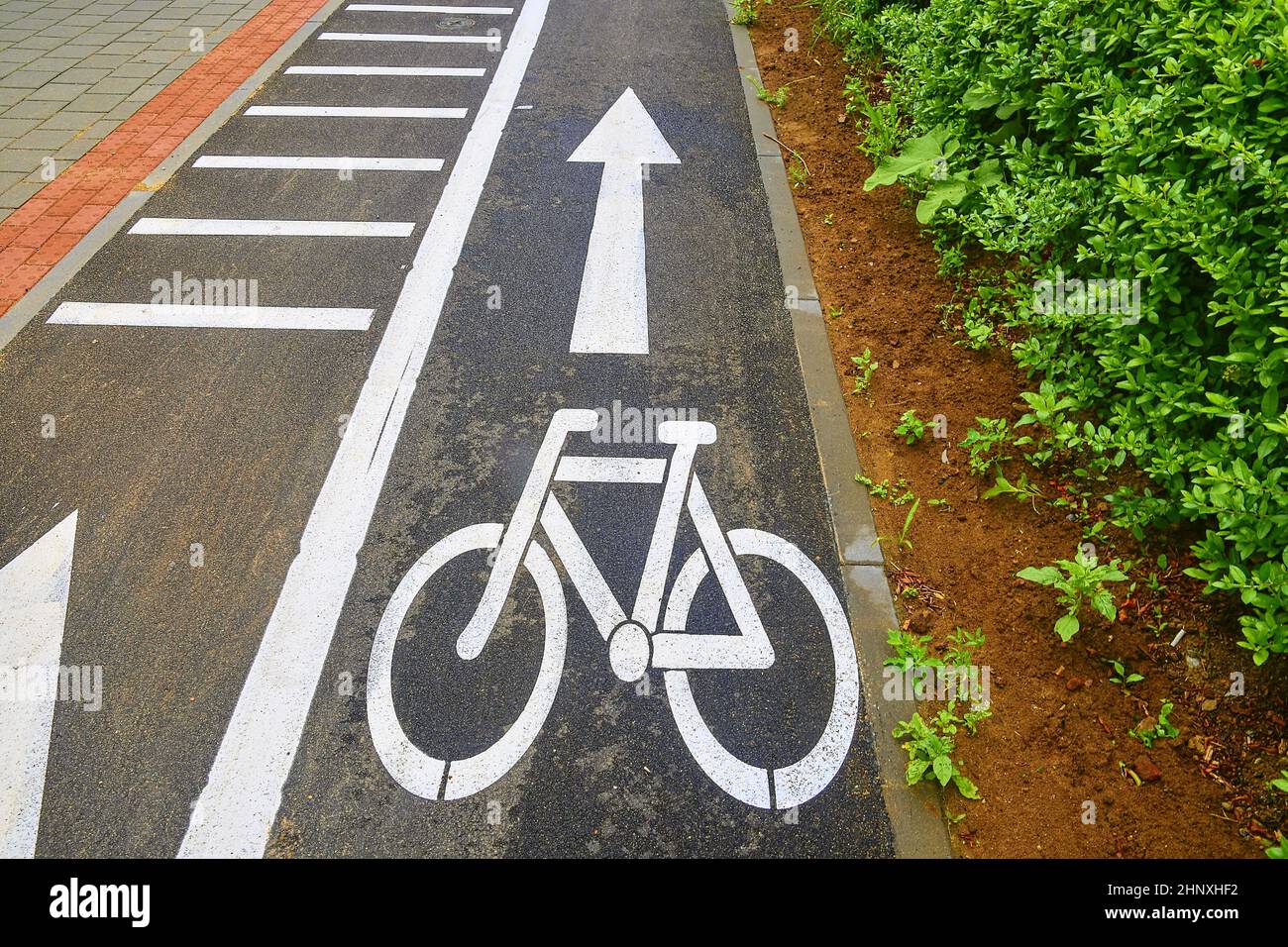 Road section with road markings regulating the movement of cyclists ...