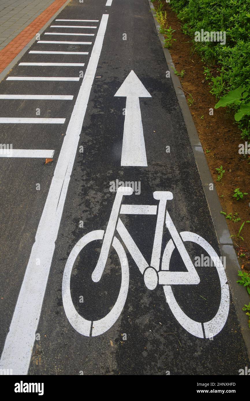 Road section with road markings regulating the movement of cyclists ...