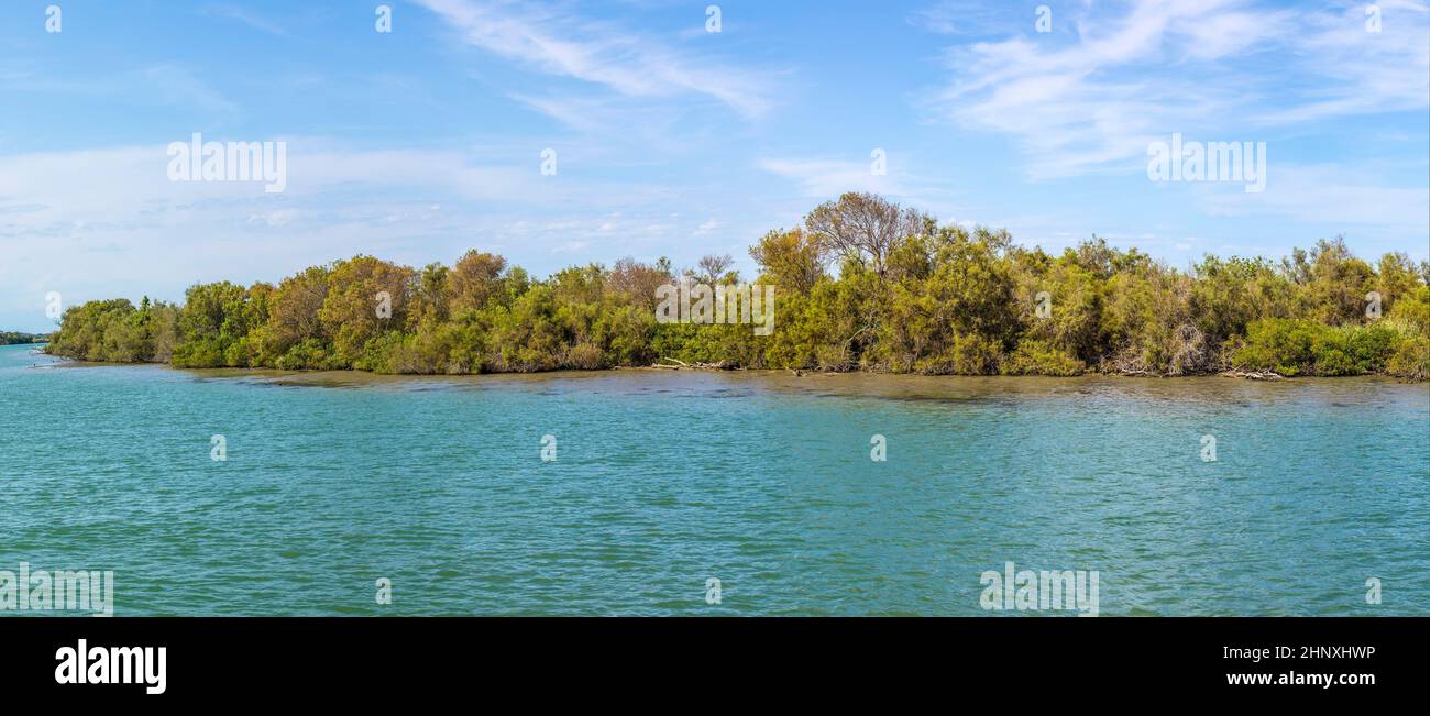the river rhone delta in the camargue. Wild animals live in that area ...