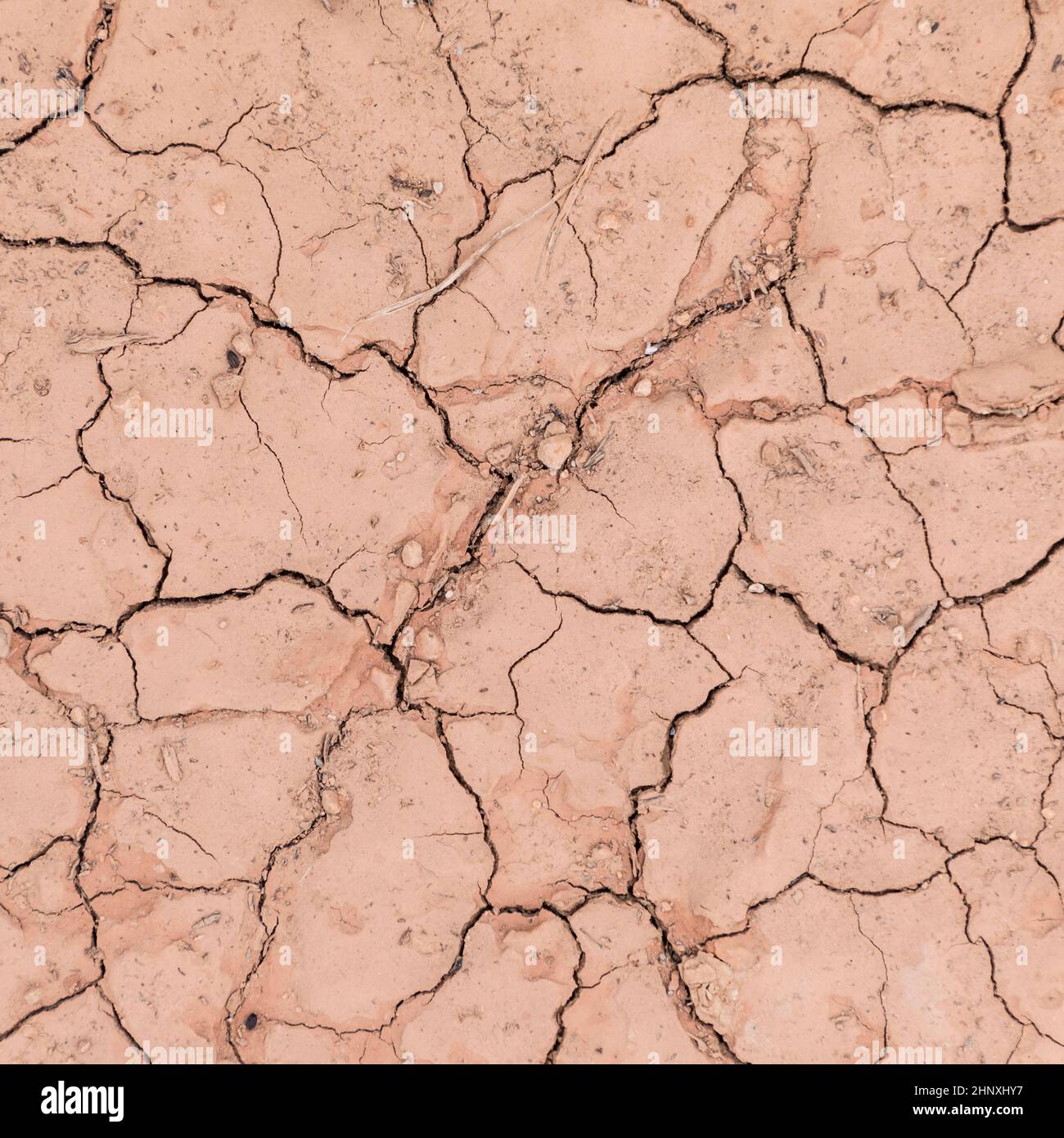 spoiled loam ground with scratches and dried earth Stock Photo - Alamy