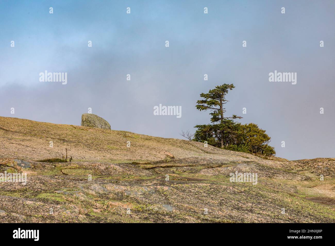 view to Mount Cadillac in acadia national park, Maine Stock Photo - Alamy