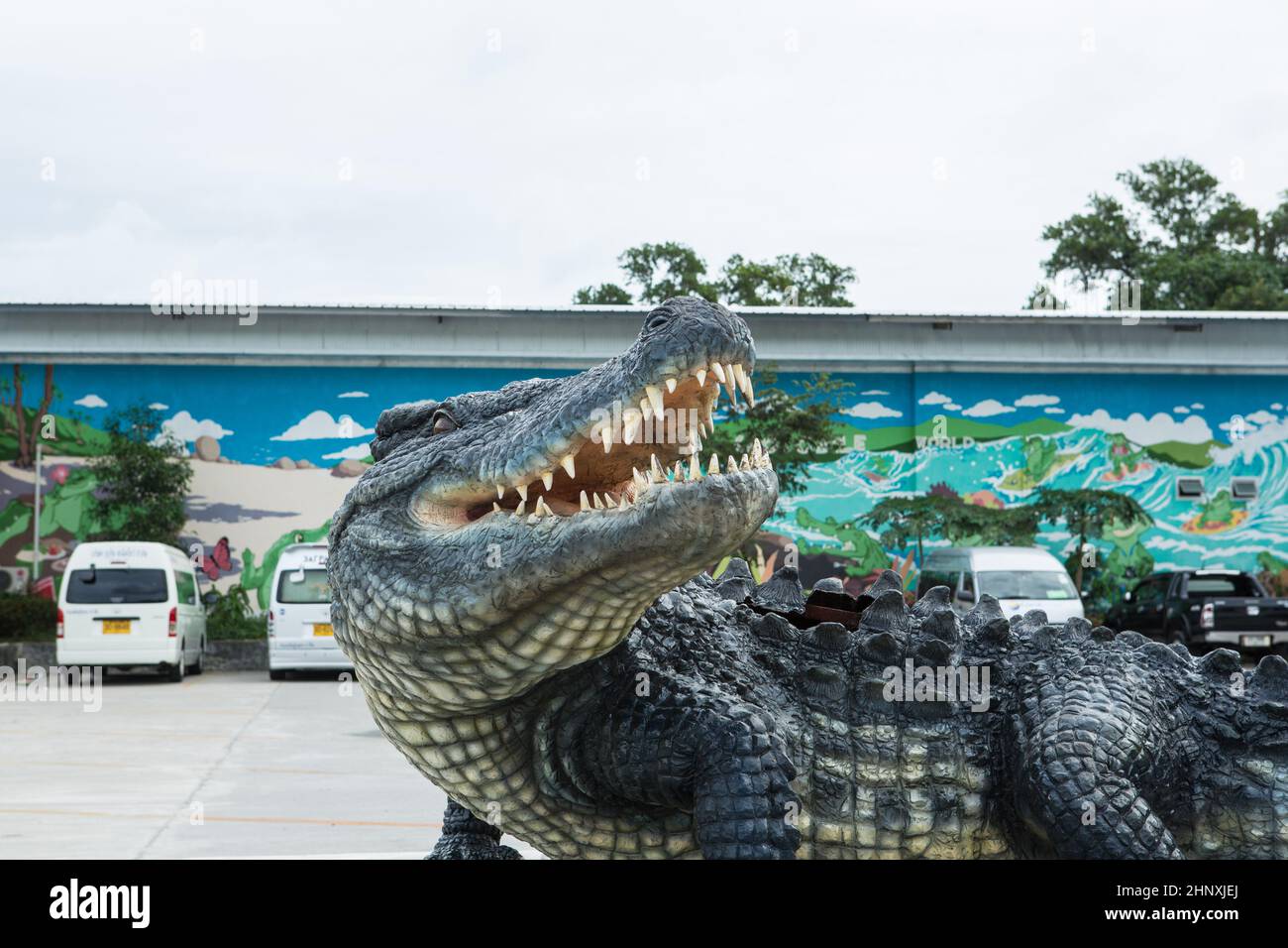 Portrait of freshwater Crocodile in a crocodile farm in Thailand ...