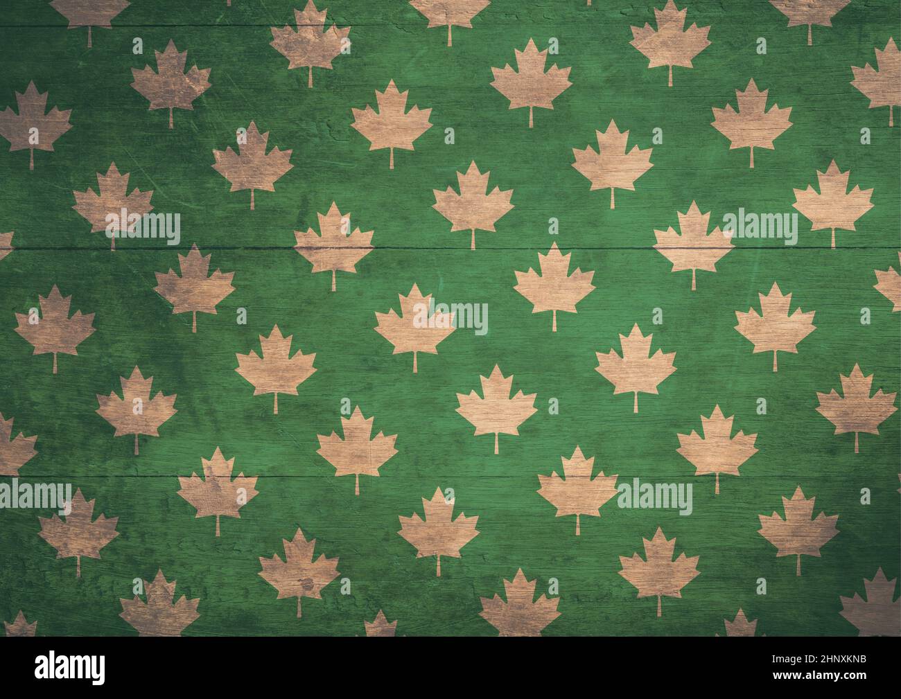 minimal design of the maple leaf popular canadian symbol. Bright color ...