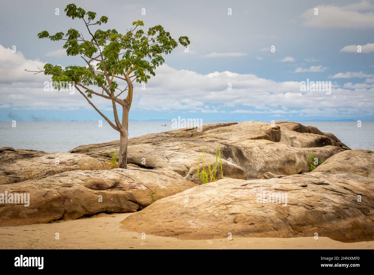 Lake Malawi beach view in Chinteche with trees and rock in foreground ...