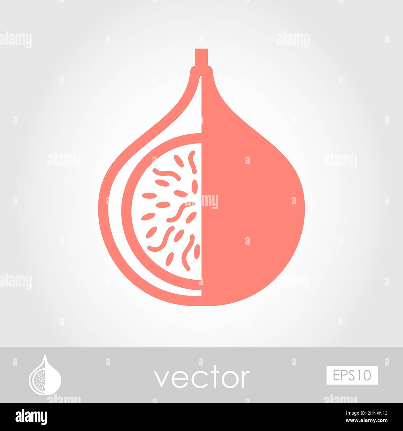 Fig outline icon. Tropical fruit. Vector illustration, eps 10 Stock ...