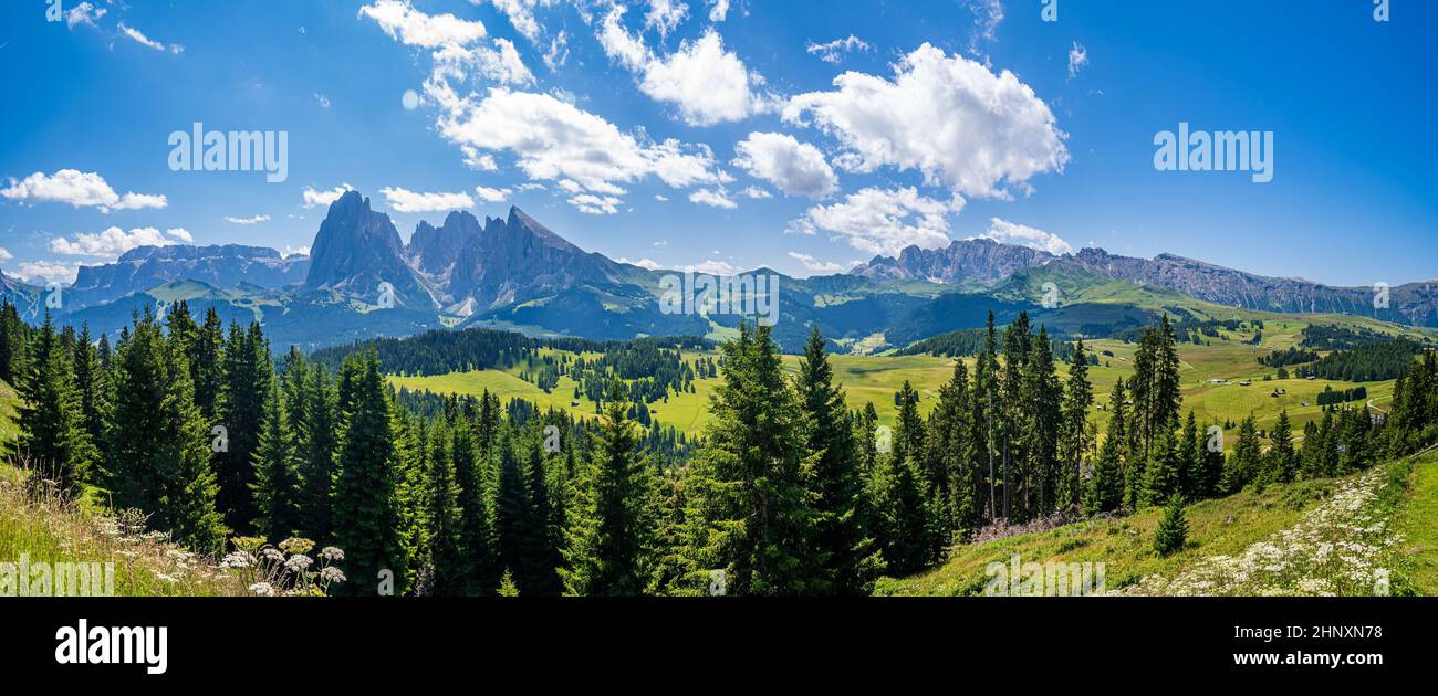 View of the magnificent plateau of Seiser Alm during the summer season ...
