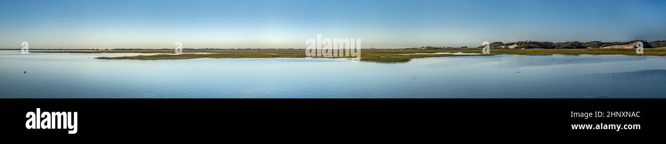 beautiful swamp landscape at the atlantic ocean at Cape Cod with reed ...