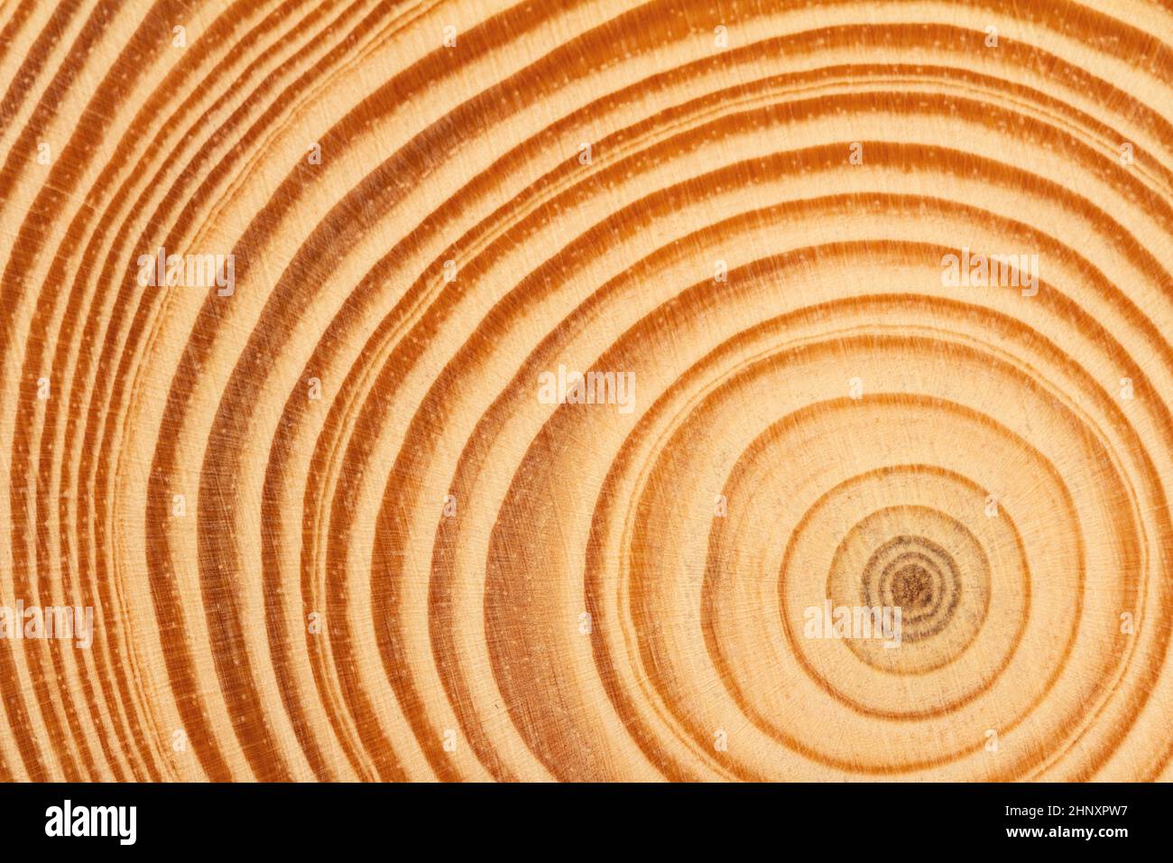 Cut wood texture hi-res stock photography and images - Alamy
