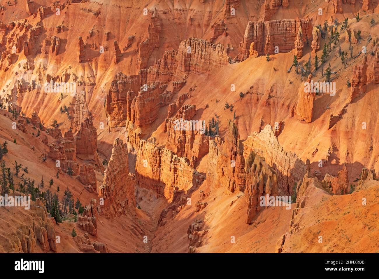 Hoodoo Details in Shade and Shadow in Cedar Breaks National Monument in ...