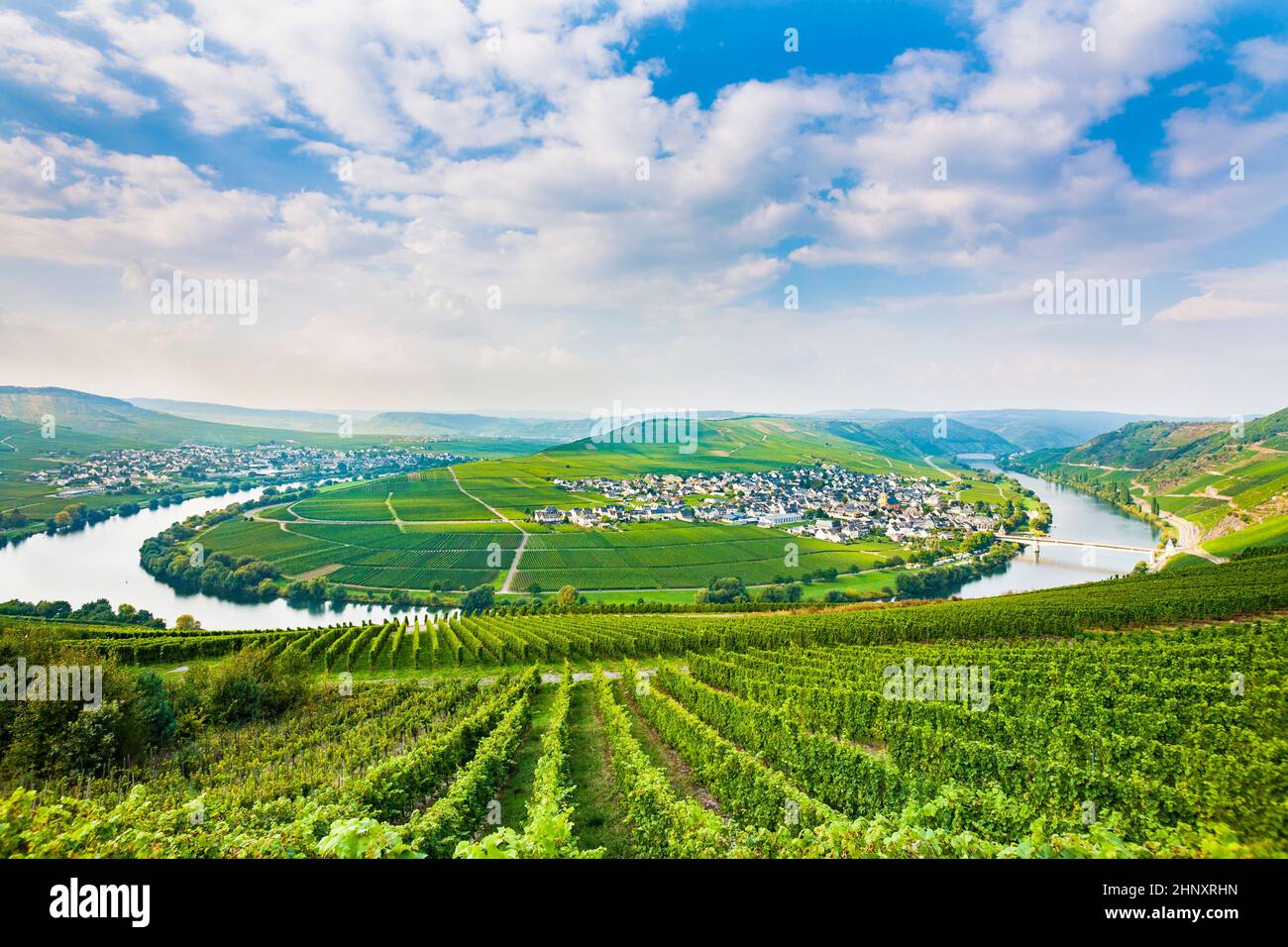 famous Moselle Sinuosity in Trittenheim, germany Stock Photo - Alamy