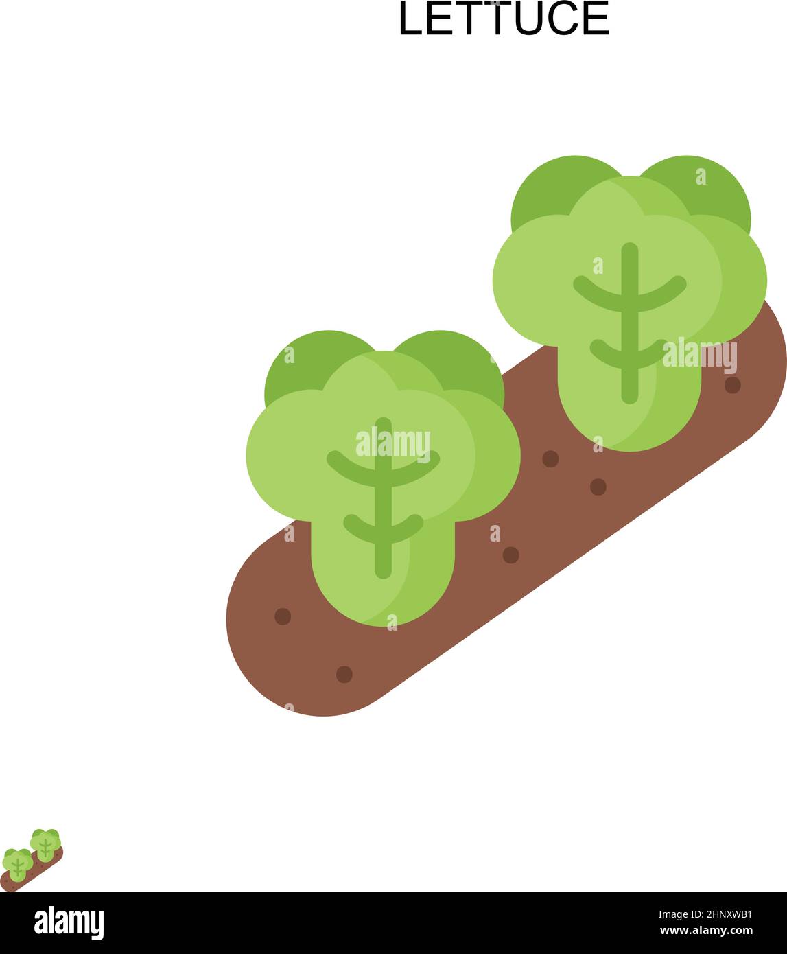 Lettuce Simple vector icon. Illustration symbol design template for web ...