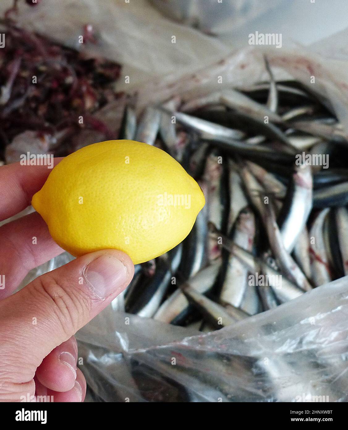 eating seafood with lemon, lemon and fish Stock Photo - Alamy