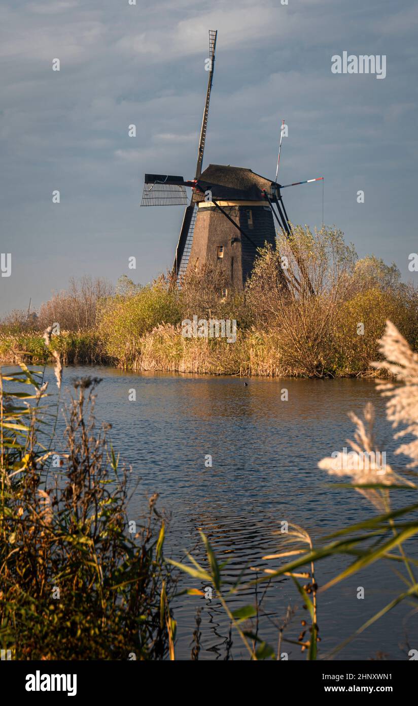 Ancient windmill on the edge of the canal at Kinderdijk, Netherlands ...