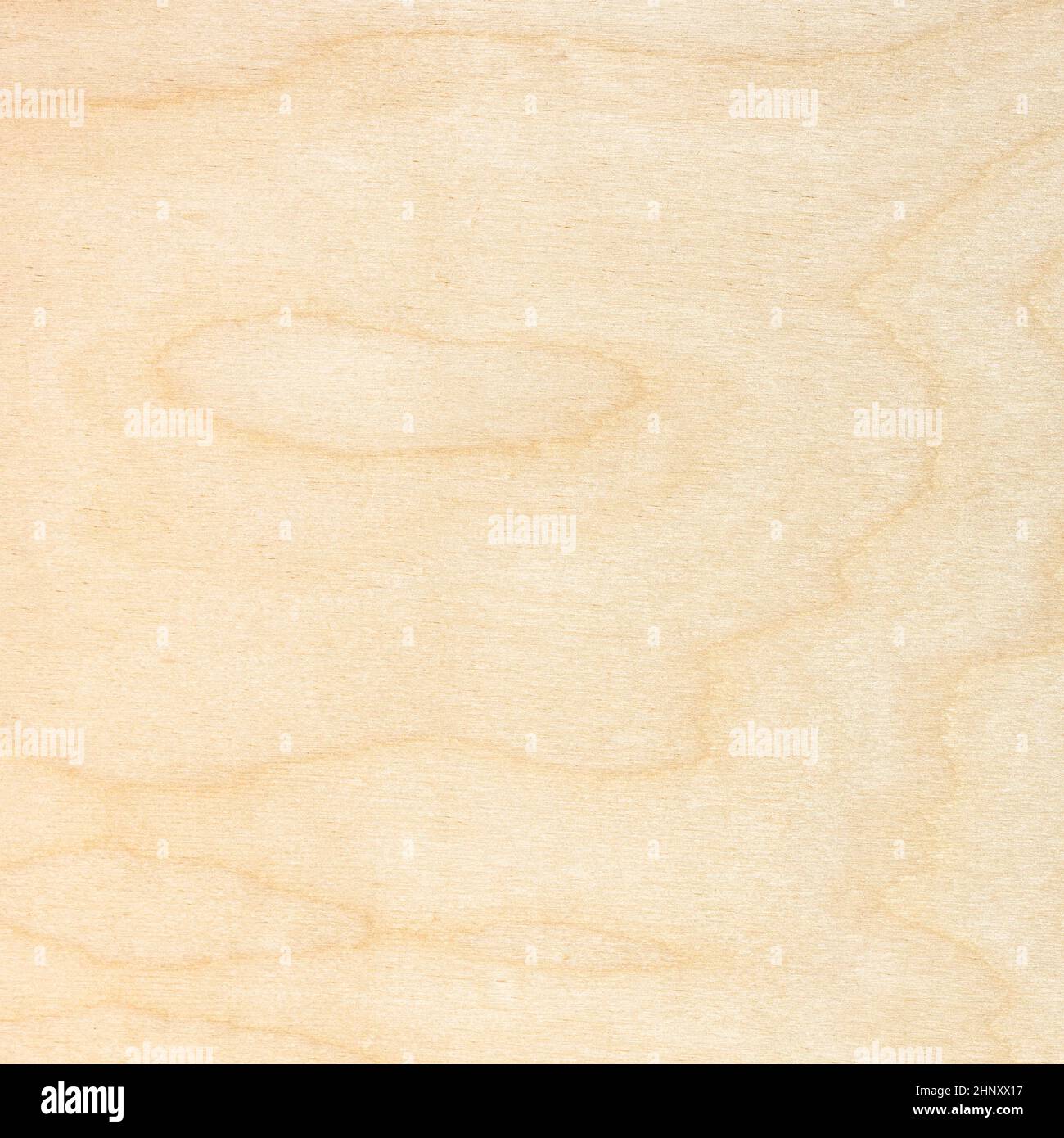natural wooden square surface of blank finished birch plywood sheet ...