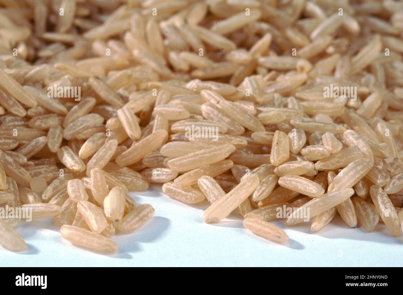 Oryza l hi-res stock photography and images - Alamy