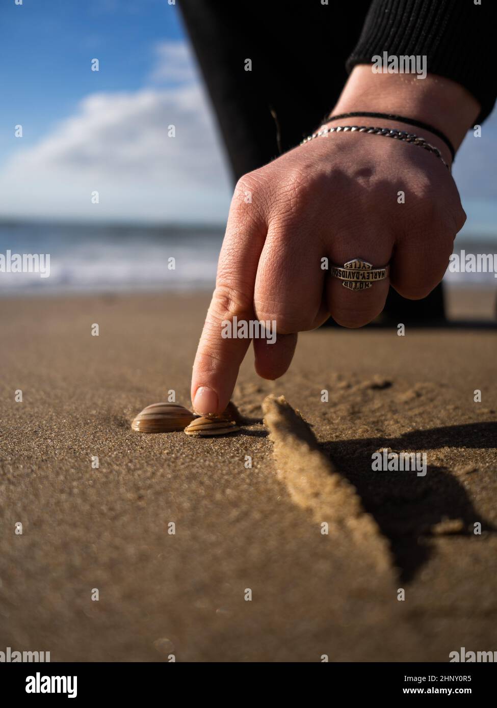 Male hand touching shells on the sandy beach Stock Photo - Alamy