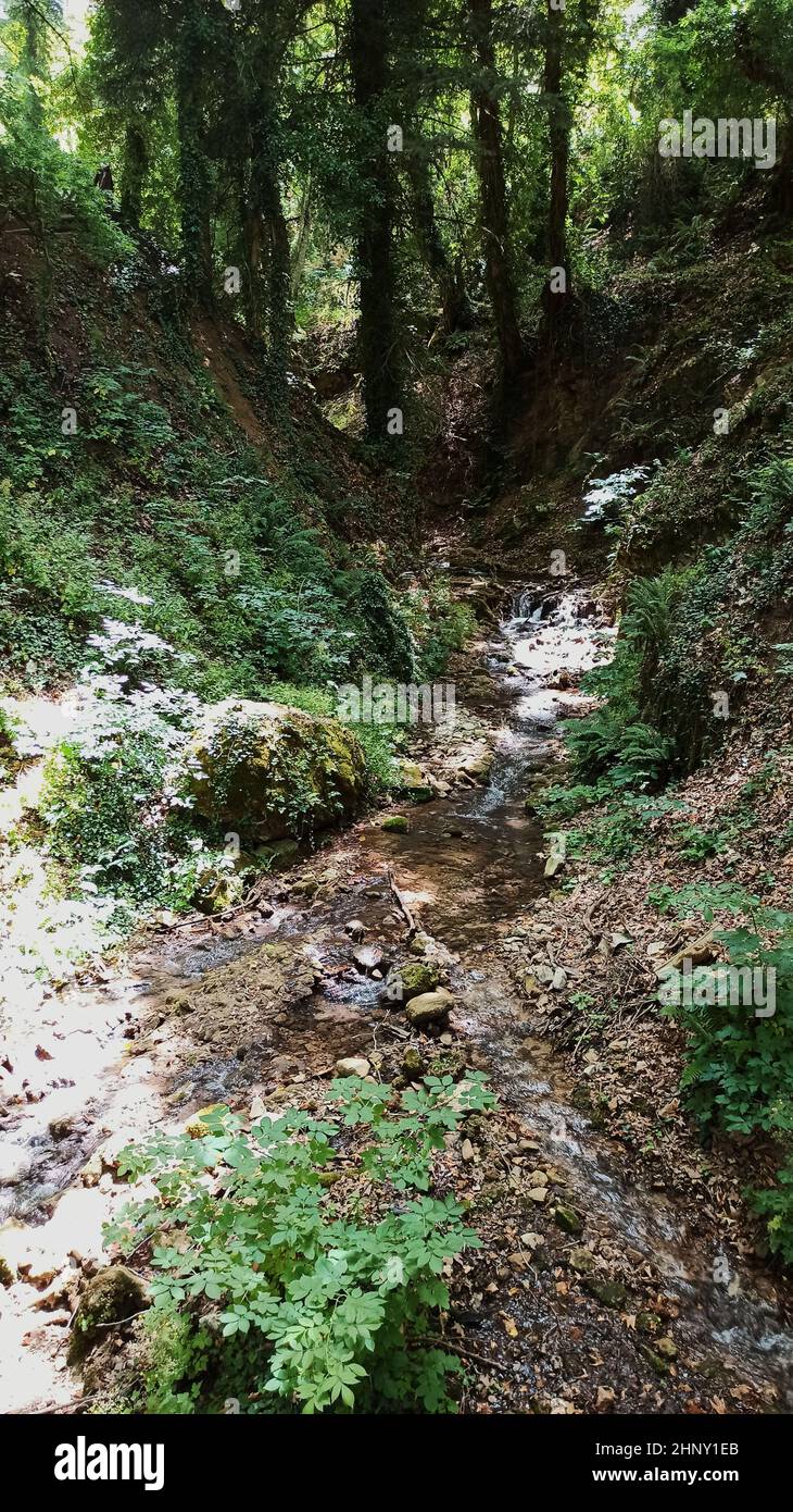 Wooden path in the forest in Megalo Chorio village Karpenisi Greece ...