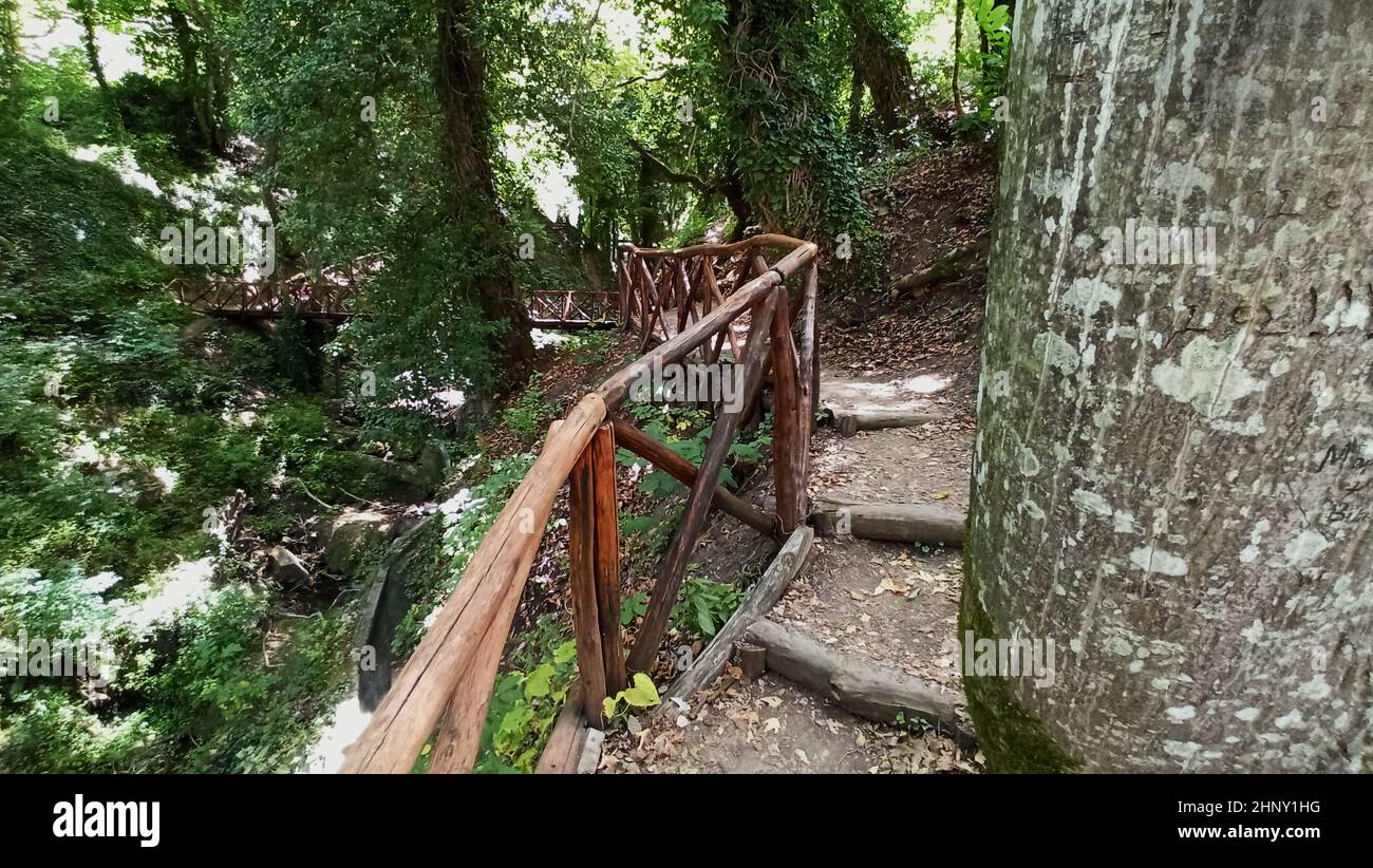 Wooden path in the forest in Megalo Chorio village Karpenisi Greece ...