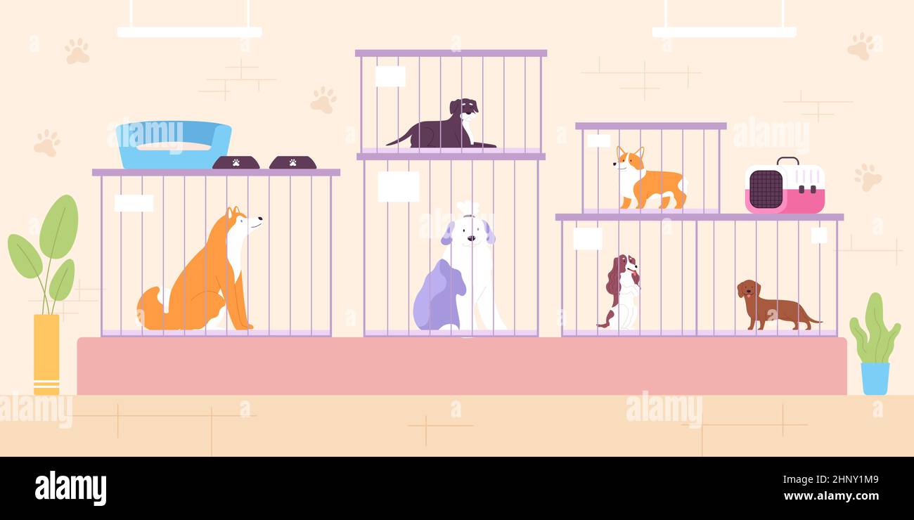 Animal shelter, adoption center or petshop interior with dogs. Rescued ...
