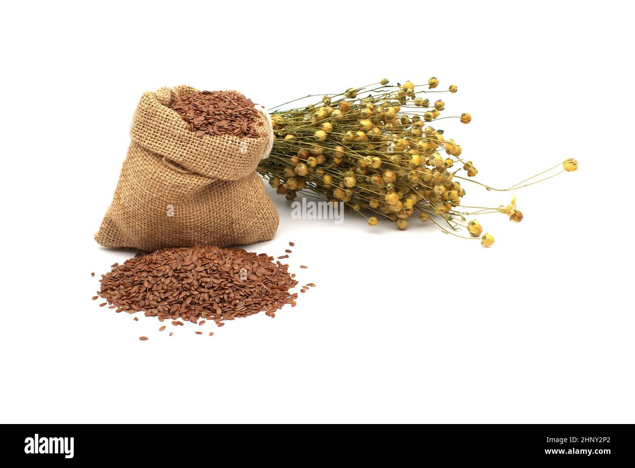 Linen seed, also known as Linseed, Flaxseed and Common Flax in a ...