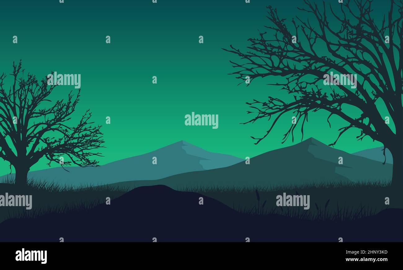 Dramatic forest and mountain views from the edge of dry pine trees ...