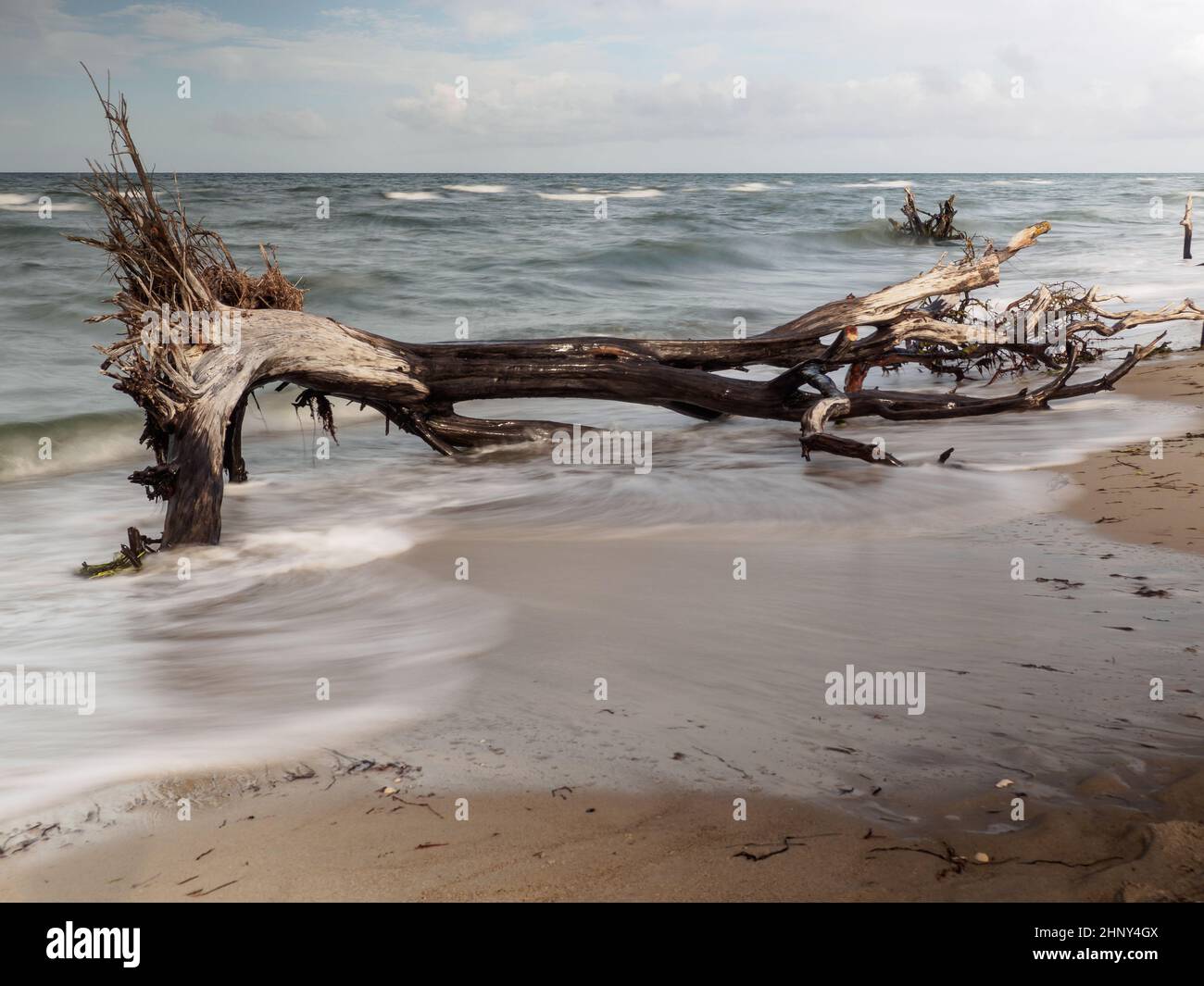 Surf wellen hi-res stock photography and images - Alamy