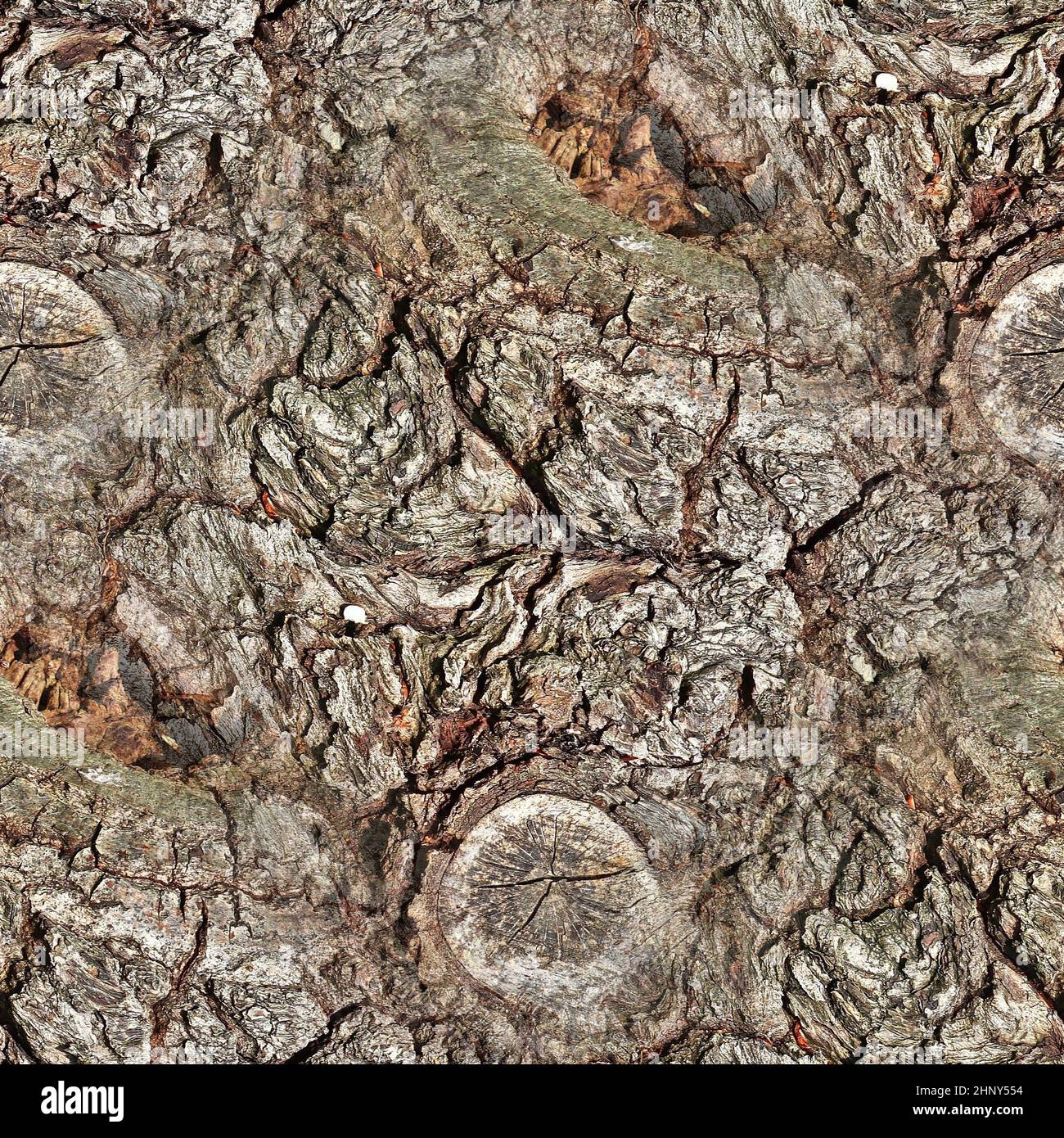 Photo realistic seamless texture pattern of tree bark in high ...