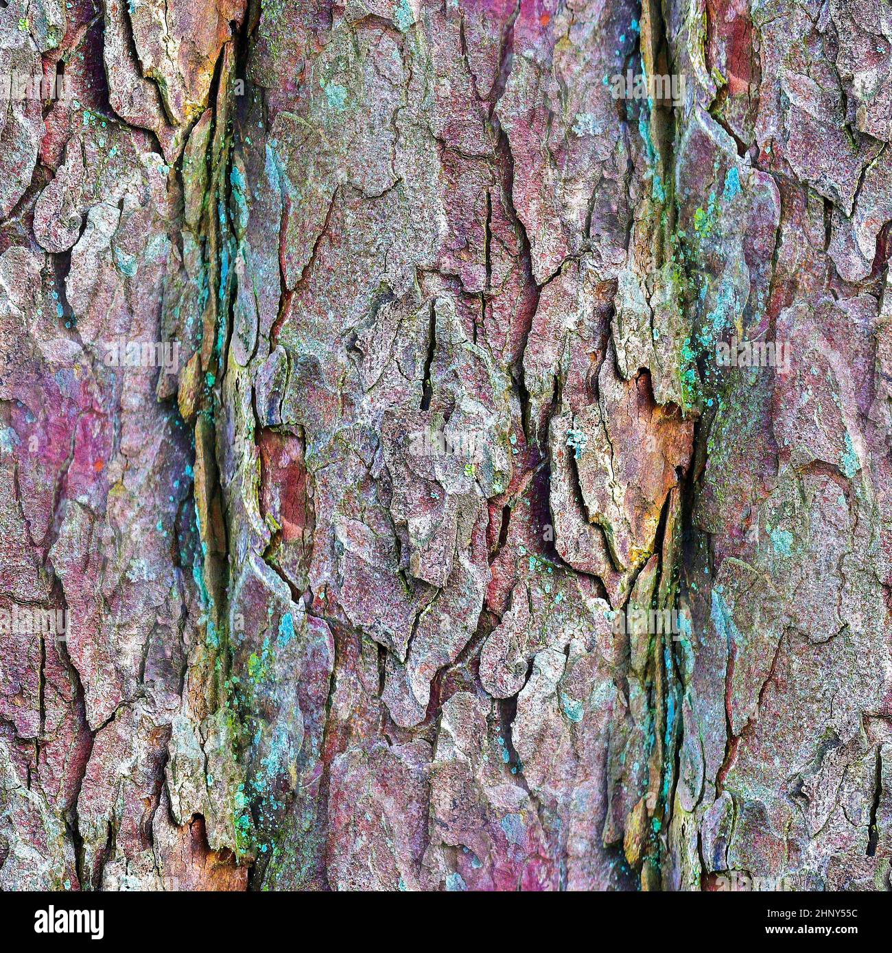 Photo realistic seamless texture pattern of tree bark in high ...