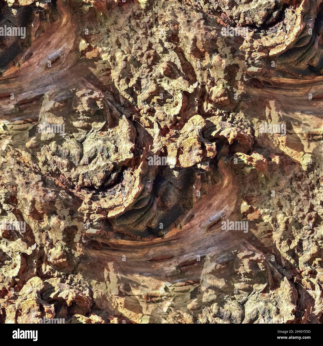Photo realistic seamless texture pattern of tree bark in high ...