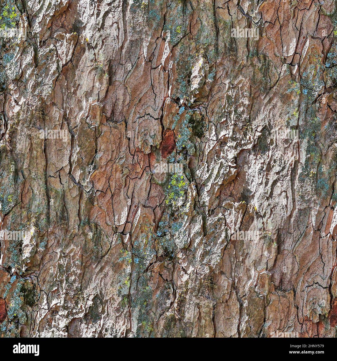 Photo realistic seamless texture pattern of tree bark in high ...