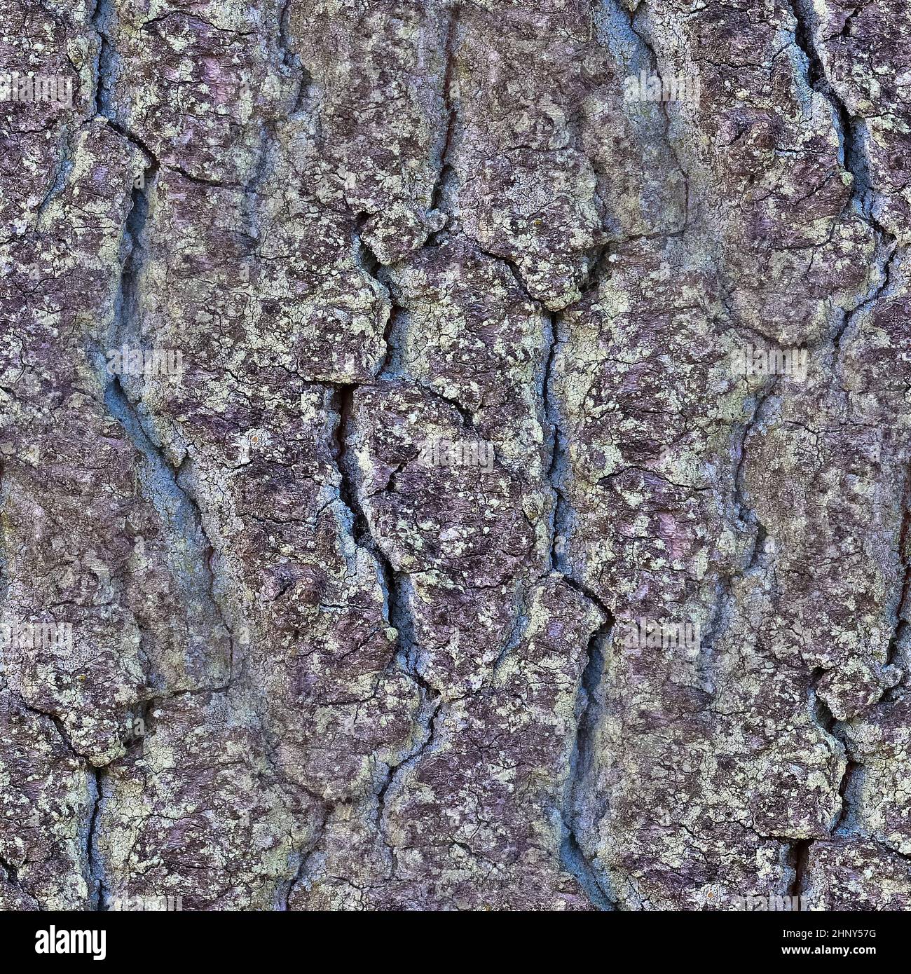 Photo realistic seamless texture pattern of tree bark in high ...