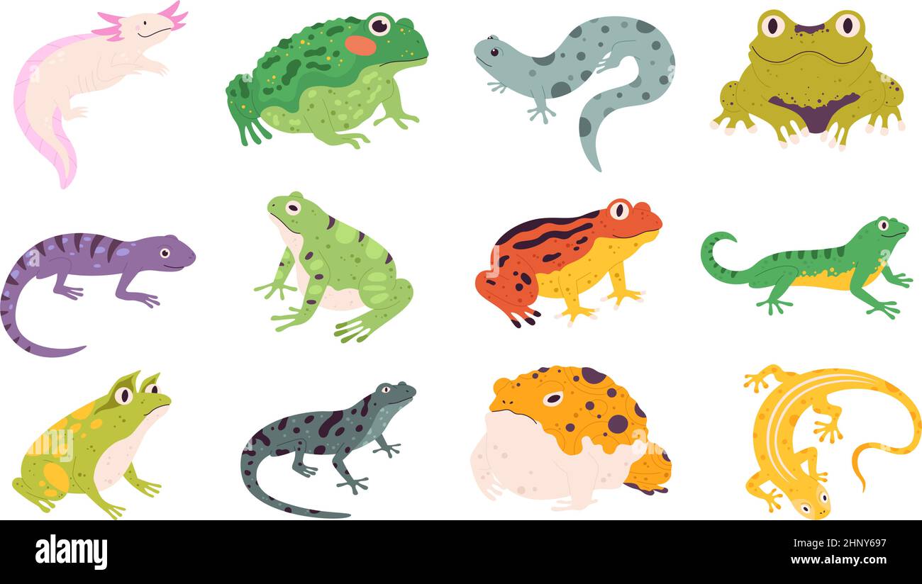 Tropical colorful decorative amphibian frogs, lizards and toads ...