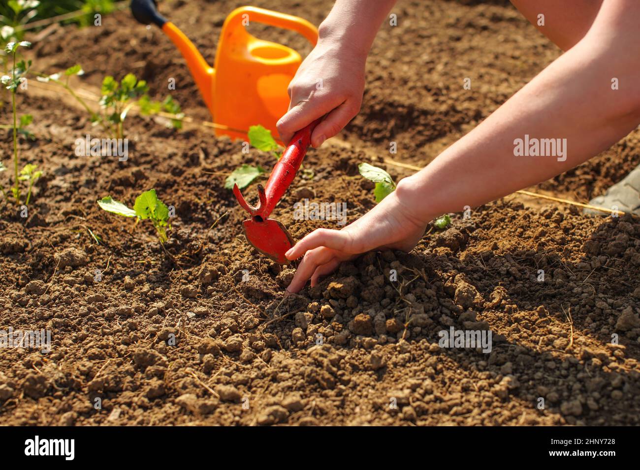 Black woman digging garden hi-res stock photography and images - Alamy