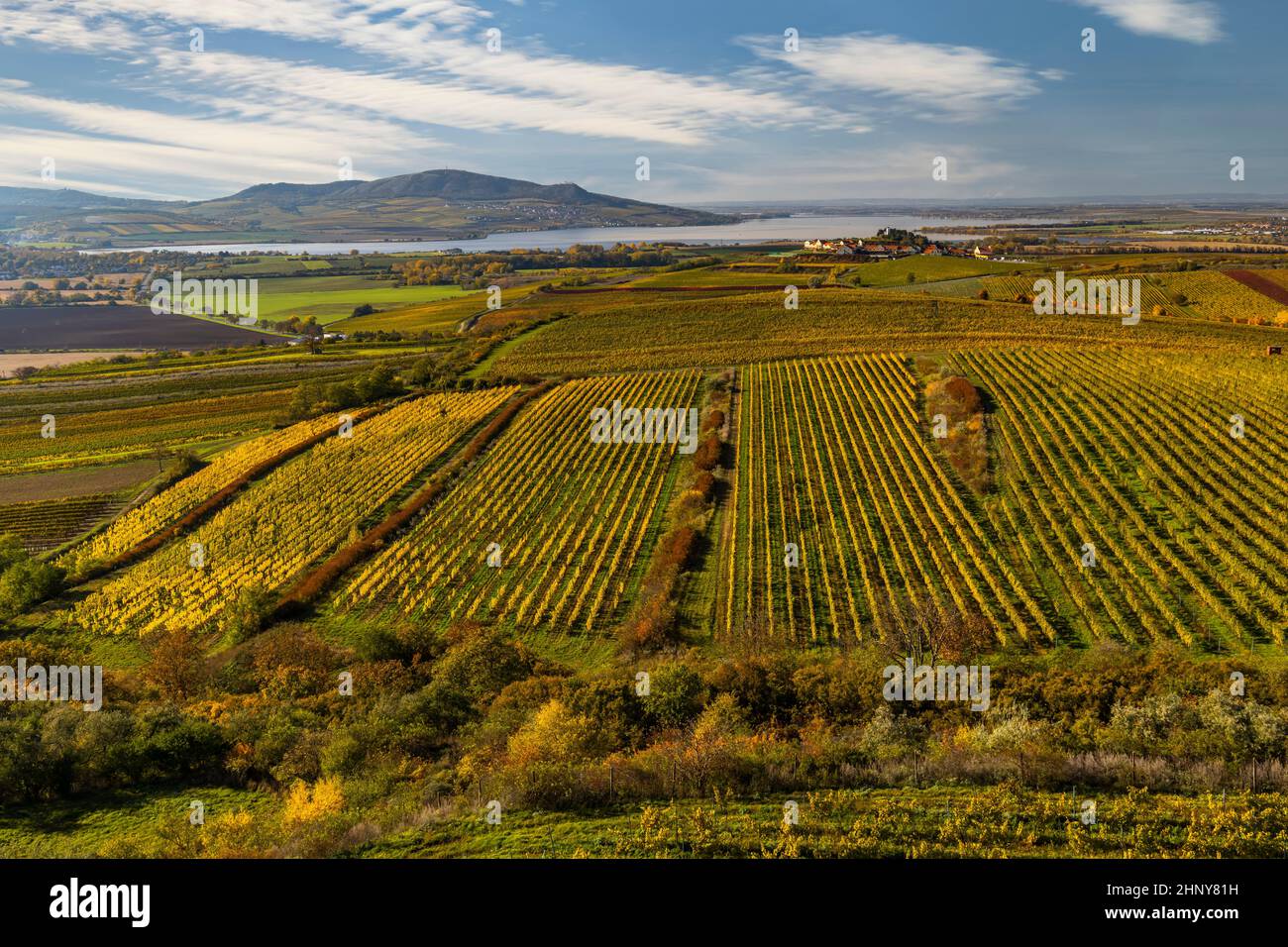 Vineyards under Palava, Southern Moravia, Czech Republic Stock Photo ...