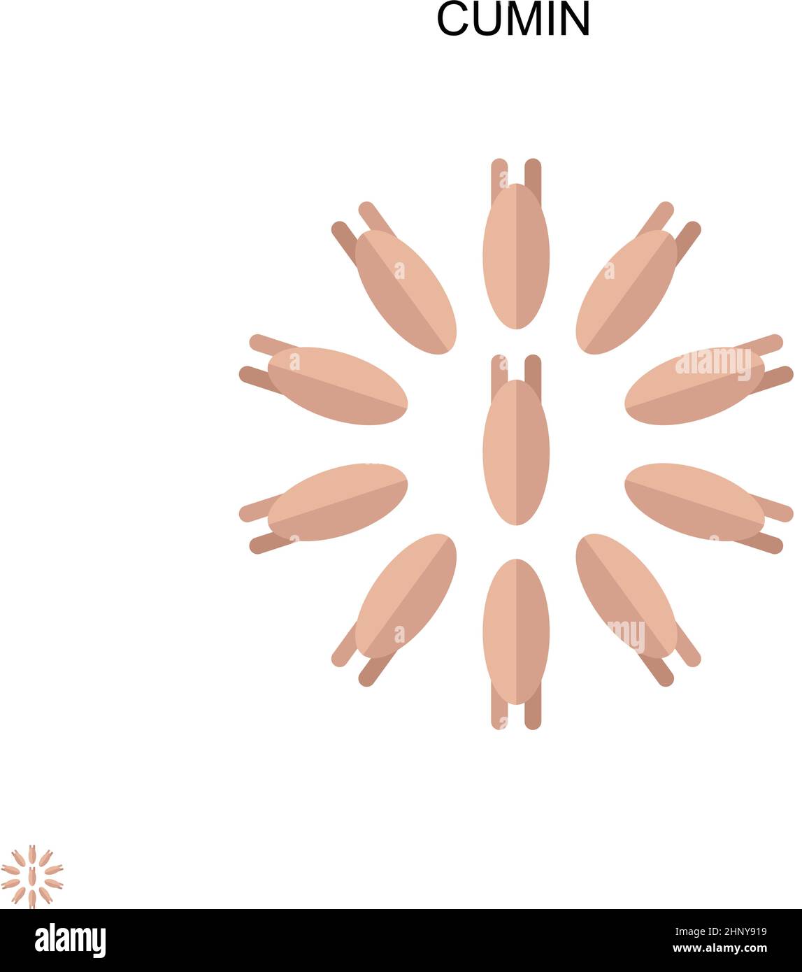 Cumin Simple vector icon. Illustration symbol design template for web ...