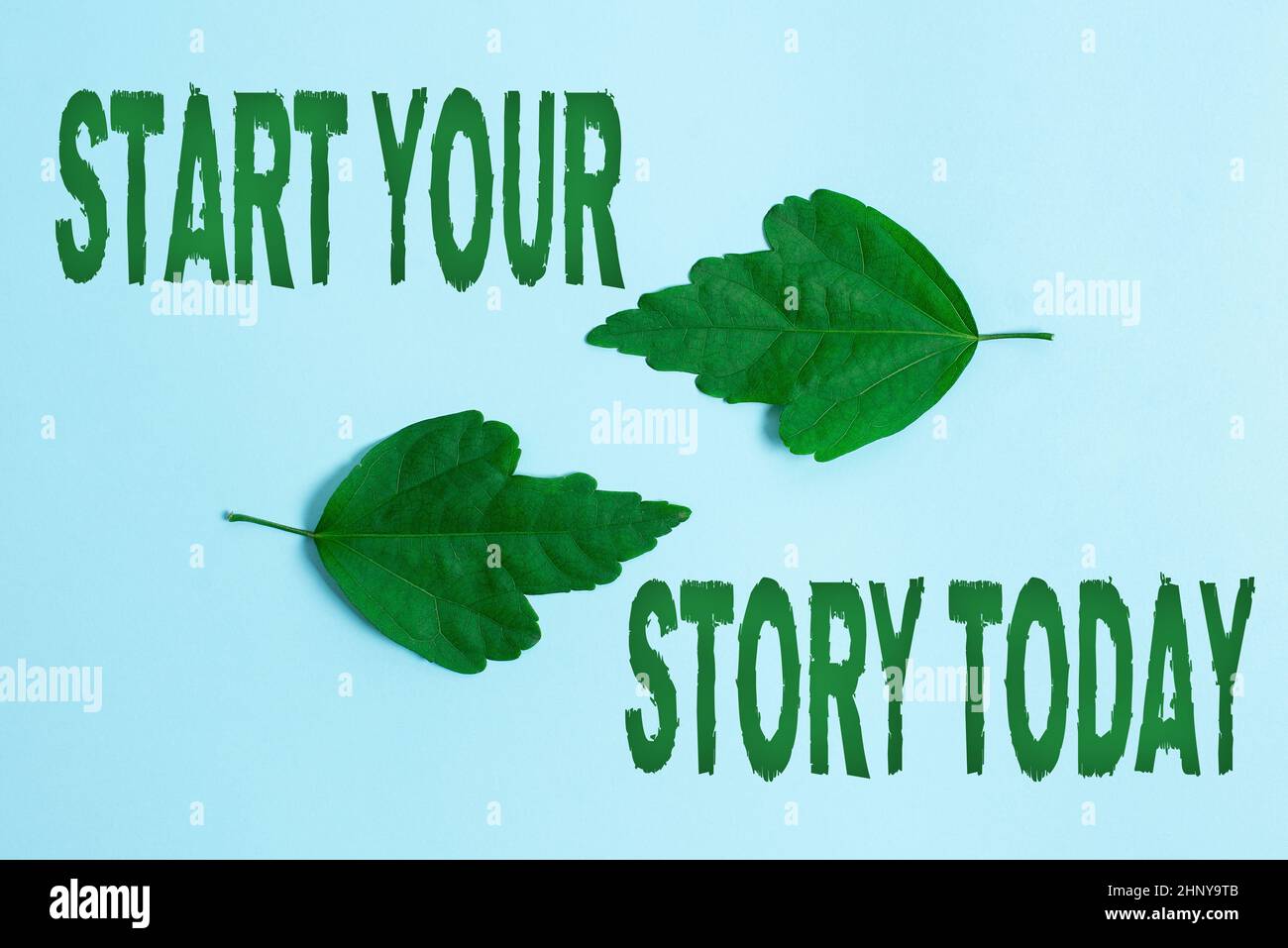 Text showing inspiration Start Your Story Today, Conceptual photo work ...
