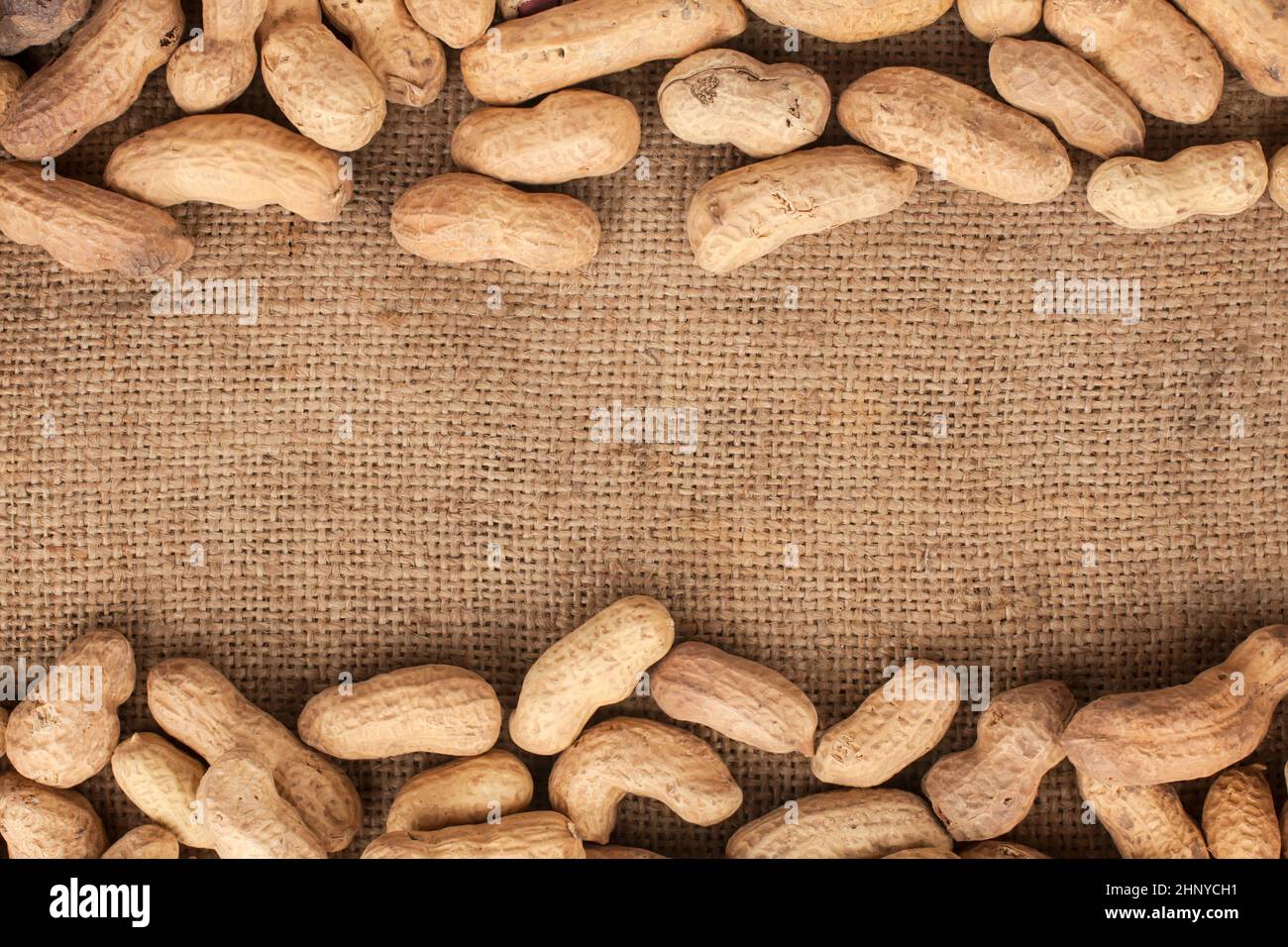 unpeeled peanuts lying on burlap can be used as background Stock Photo ...