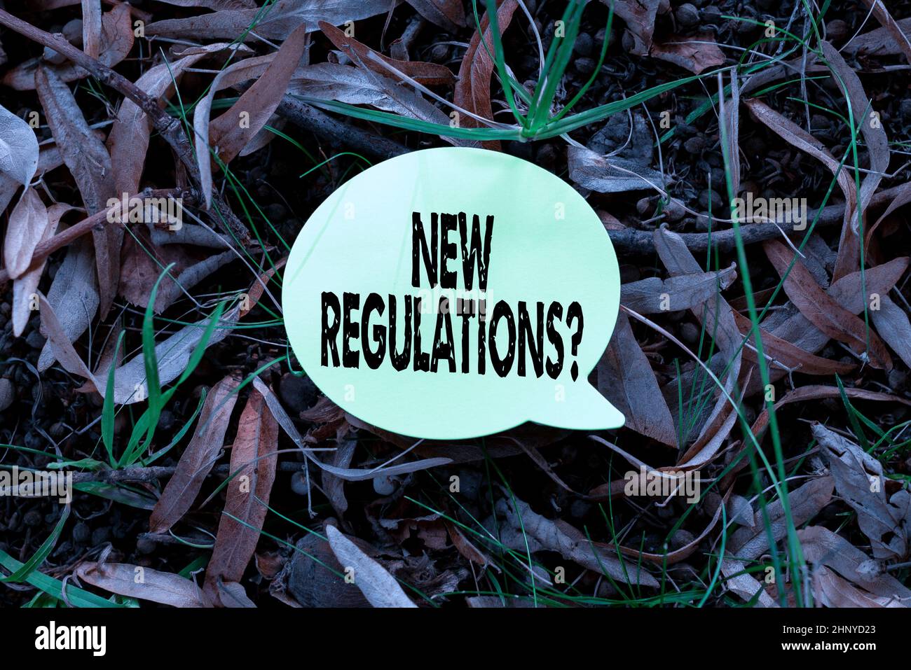 Hand writing sign New Regulations Question, Internet Concept rules made ...