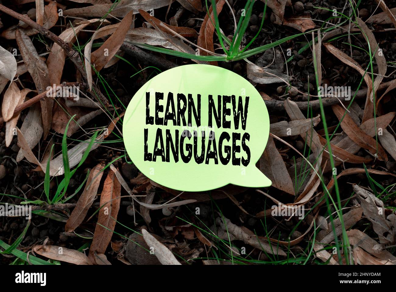 Inspiration showing sign Learn New Languages, Business idea developing ...