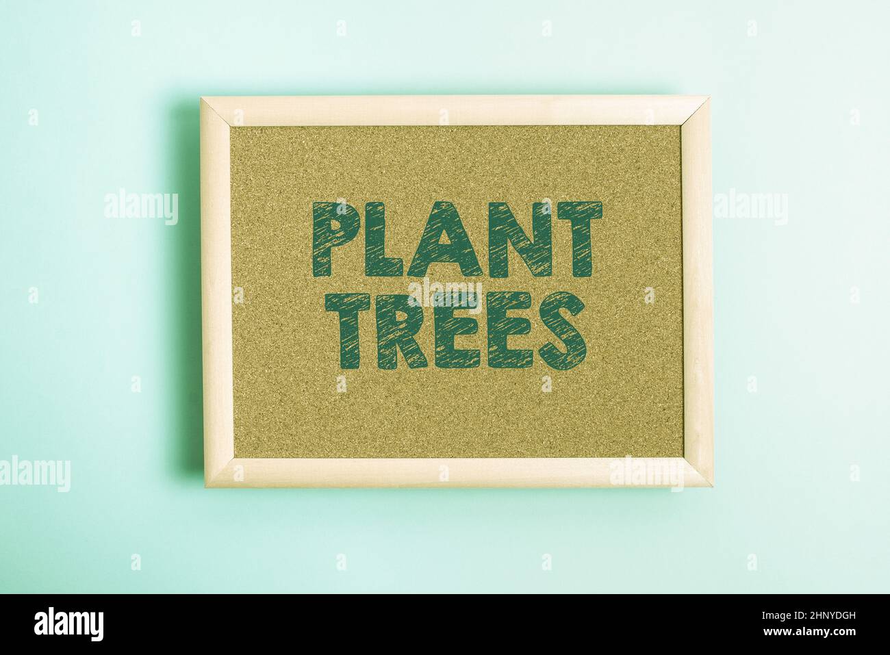 Hand writing sign Plant Trees, Concept meaning process of planting a ...