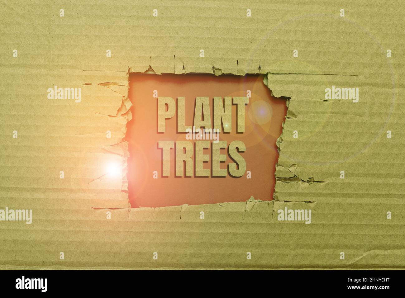 Conceptual display Plant Trees, Business idea process of planting a ...