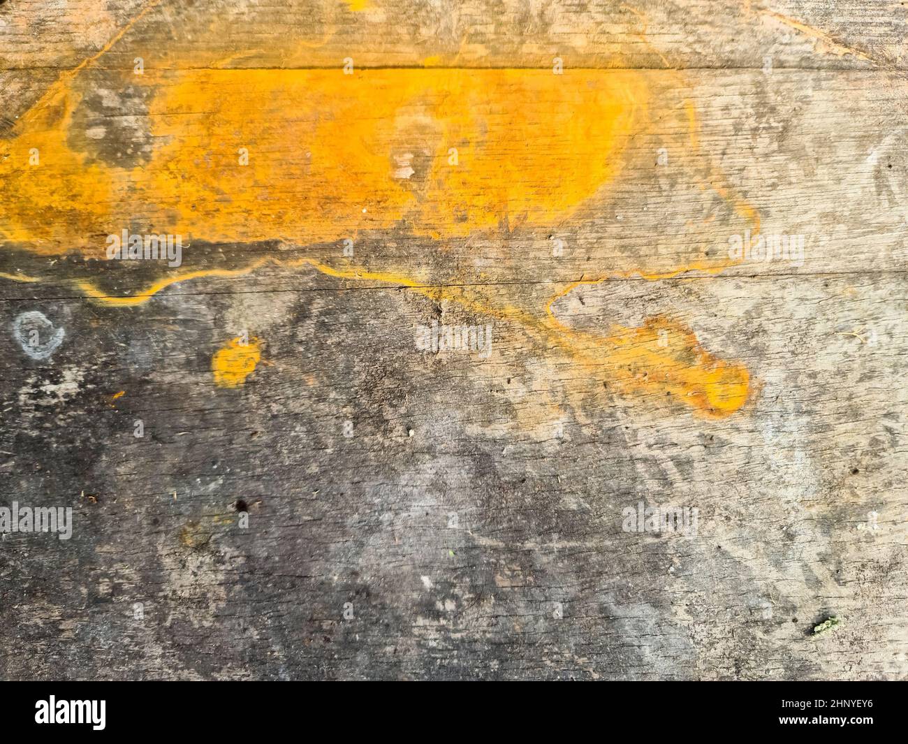Close up view on different wooden plank surfaces in high resolution ...