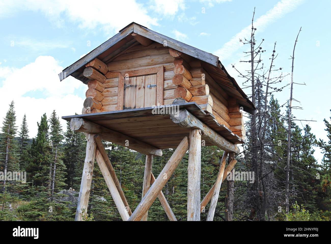 A cache used to keep meat up high from predators Stock Photo - Alamy