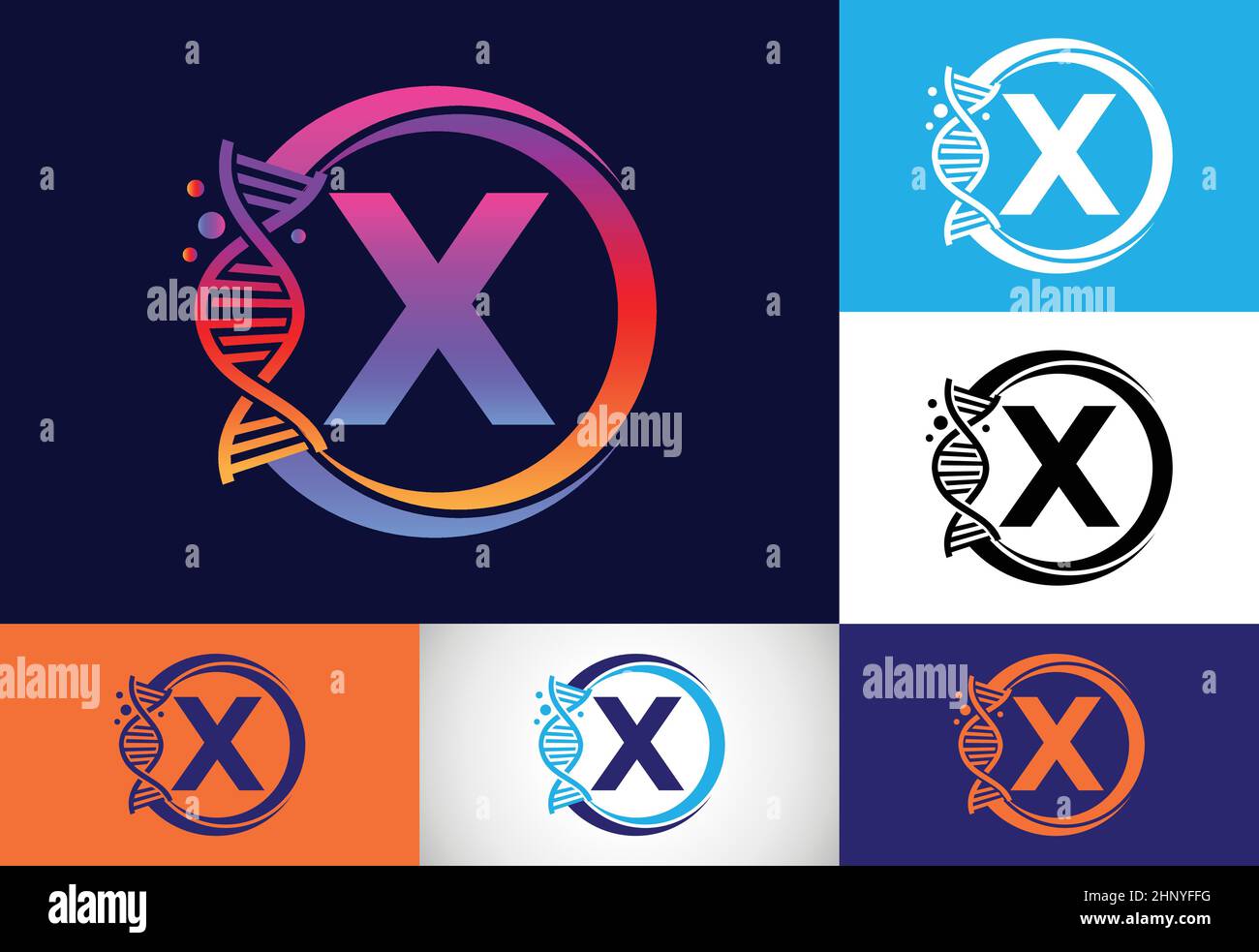 X dna Stock Vector Images - Alamy