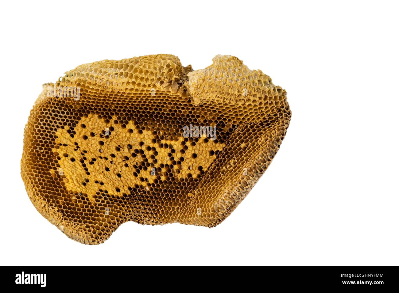Honeycomb isolated on a white background Stock Photo - Alamy